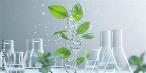 Plants Have Monocentric Chromosomes Plants Are Diverse Because Of Different Dna Three