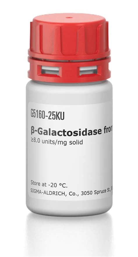 9031 11 2，β 半乳糖苷酶 来源于米曲霉，β Galactosidase From Aspergillus Oryzae