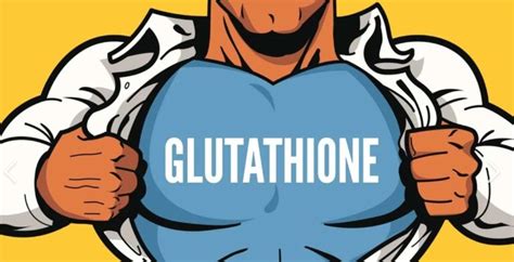 Oxidative Stress Gsh Reduced Glutathione And Gssg Oxidized