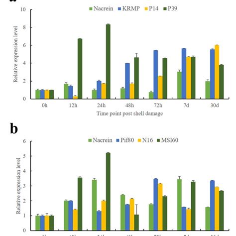 Gene Expression Of The Shell Matrix Proteins In The Mantle Edge A And