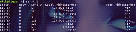 Linux Ss 命令 Sparkdev 博客园