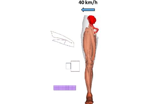 Vehicle To Pedestrian Impact Modelling Download Scientific Diagram