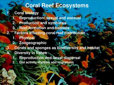Ppt Coral Reef Ecosystems Powerpoint Presentation Free Download Id