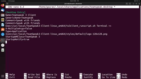 How To Install Teamspeak In Ubuntu Geeksforgeeks