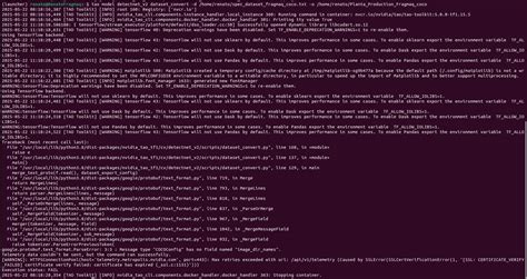 Error Converting Coco Custom Dataset To Detectnetv2 Training Tao Toolkit Nvidia Developer