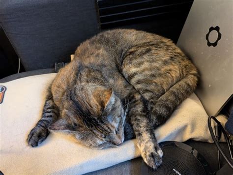 Guy Kisel On Linkedin It Depends