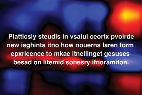 New Respect For Primary Visual Cortex MIT News Massachusetts Institute Of Technology