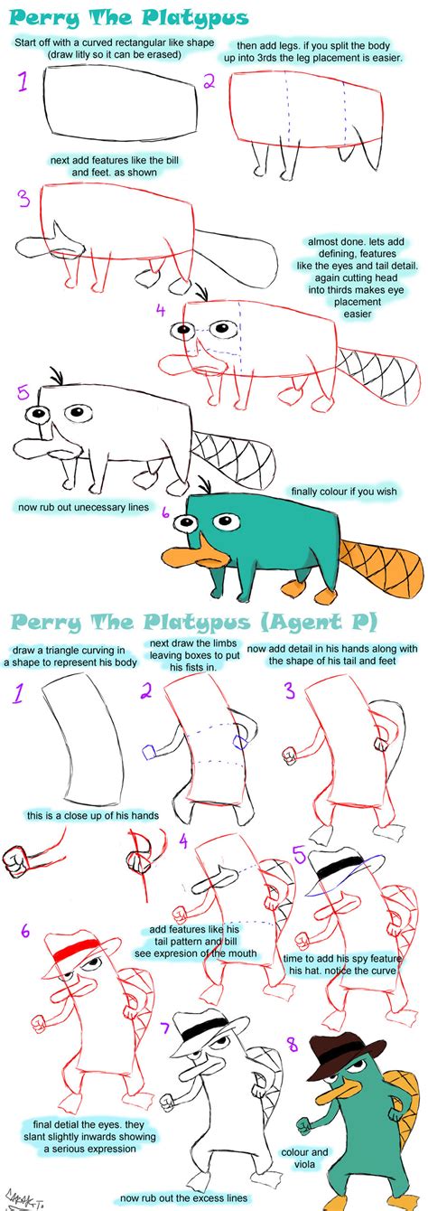 Platypus Drawing Step Step At Getdrawings Free Download
