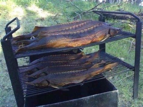 Create Meme Vodka Sprats Demotivator Demotivator Sprats In Russian Riga Sprats Demotivators