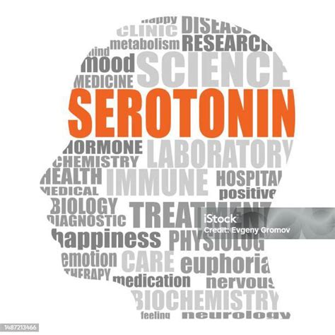 단어로 짜여진 인간의 머리 그림 Serotonin 상대 태그 또는 키워드 Cloud 건강관리와 의술에 대한 스톡 벡터 아트 및
