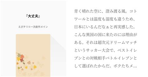 イナズマイレブン 超次元ドリームマッチ 『大丈夫』 えびチリ※一次創作メインの小説 Pixiv