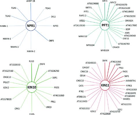 Interactome Maps For Npr1 Pft1 Kin10 And Kin11 Maps Of Interaction