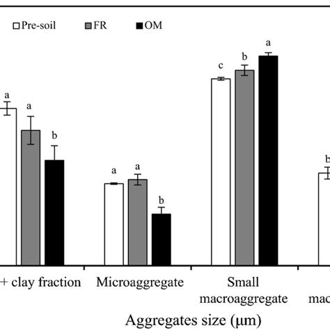 Schematic Overview Of Soil Aggregation Process And Organic C Download Scientific Diagram Schematic Overview Of Soil Aggregation Process And Organic C Download Scientific Diagram