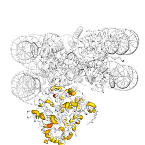 Usp16 Gene Somatic Mutations In Cancer