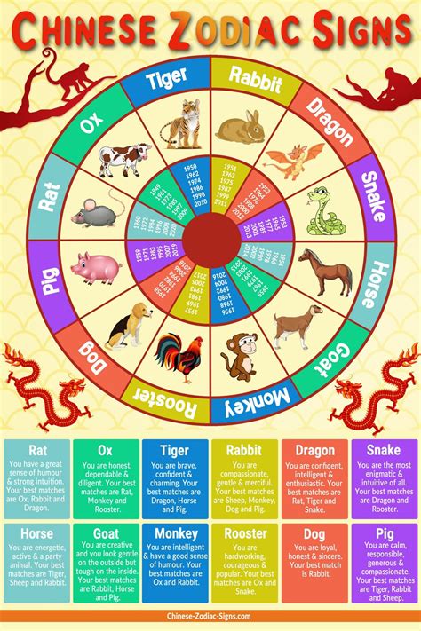 Chinese Zodiac Signs Infographic Chinese Zodiac Signs Chinese New