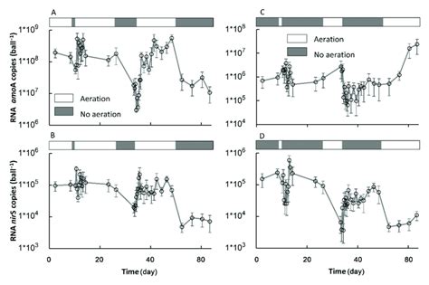 The Fluctuations In The Abundance Of Nitrogen Cycle Functional Genes Download Scientific