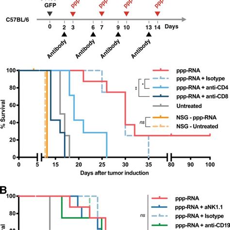 Ppp Rna Treatment Depends On Intact Ifn Alpha Signaling A As Depicted Download Scientific