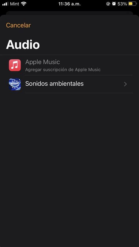 Is There Any Addons That Add Background Music To Anki Ranki