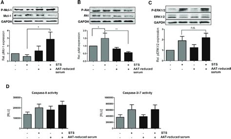 Effect Of Aat On Mcl 1 Phosphorylation The Activity Of Map Kinases And