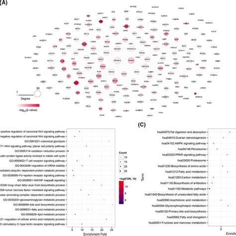 Unsupervised Cluster Analysis To Identify Ihcc Subtypes A