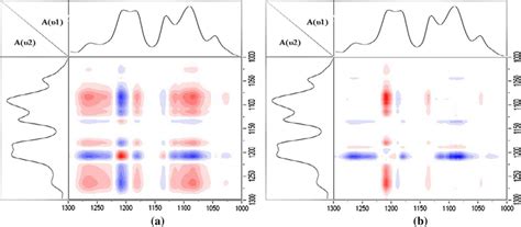 Synchronous A And Asynchronous B Correlation Spectra Of Plla In The