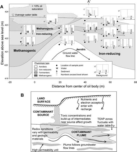 The Influence Of Subsurface Hydrologic And Geochemical Conditions On