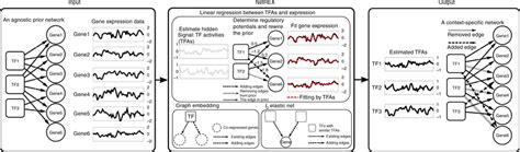 Schematic Outline Of Netrex Using A Simulated Example With 3 Tfs 6 Download Scientific Diagram