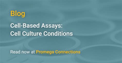 Considerations For Successful Cell Based Assays Ii Cell Culture