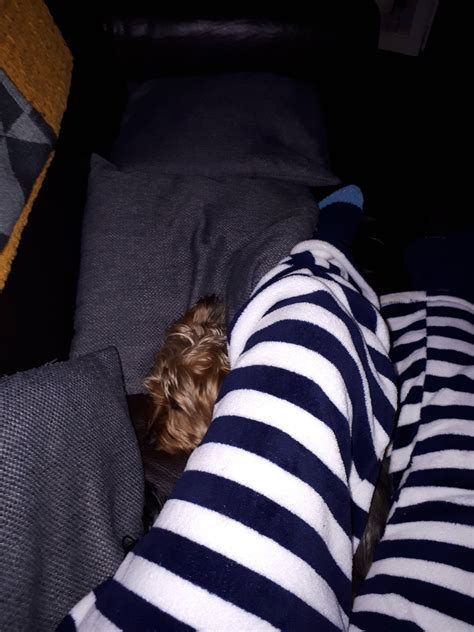 Sleep Album On Imgur