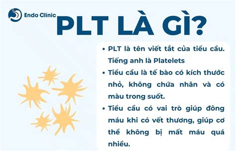 Plt Là Gì Bệnh Lý Nào Làm Chỉ Số Plt Bất Thường Trong Máu