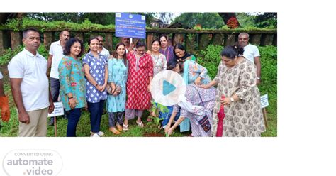 Powerpoint Presentation Automatevideo