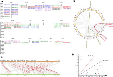 Location And Collinearity Analysis Of All Chemoreception Genes In S