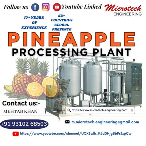 Semi Automatic Pineapple Processing Plant At Rs 2458897piece In New Delhi Id 2853638720330