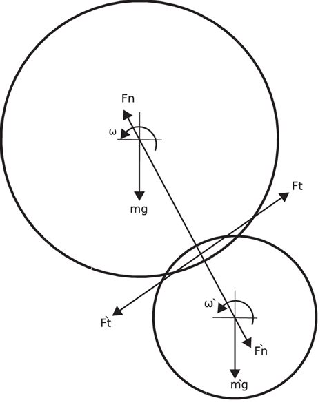Forces Acting On Two Contacting Particles Download Scientific Diagram