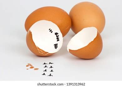 Broken Eggs Shell On White Background Stock Photo 1391313962 Shutterstock