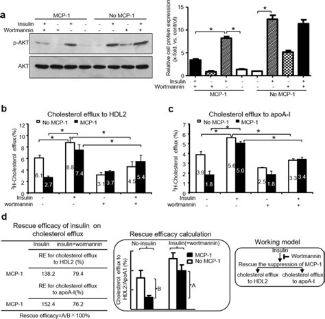 Insulin Restored Cholesterol Efflux To Large Hdl2 Particles Suppressed