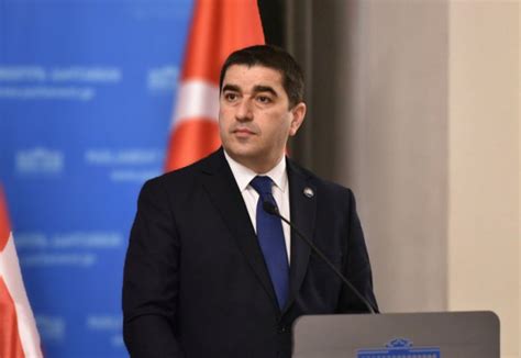 პაპუაშვილი ვაგზავნი კანონპროექტს ვენეციის კომისიაში