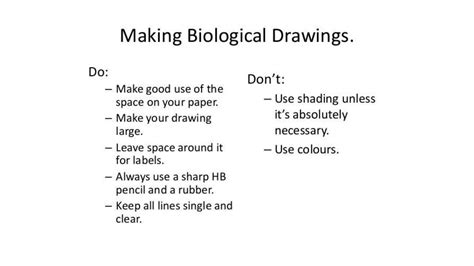 Classification Grade 9 Chapter 3 Pptx