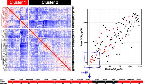 Genes Most Consistently Associated With Coo Unclassified Dlbcl Are Download Scientific Diagram