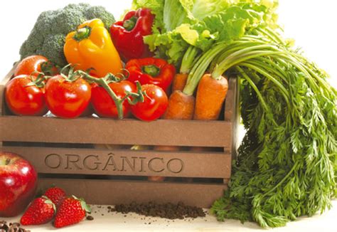 O Que é Agricultura Orgânica