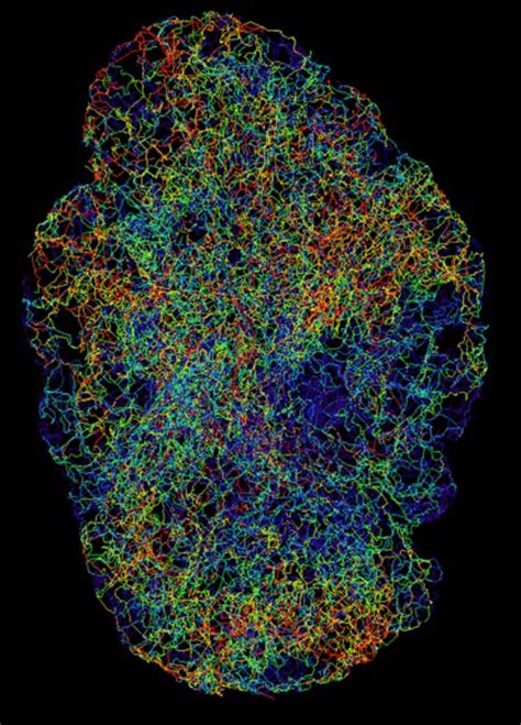 Innovative Approaches To Cancer Treatments Oncological Engineering