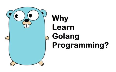 Is Golang Easy To Learn And Should You Learn Golang In 2025 Guvi Blogs