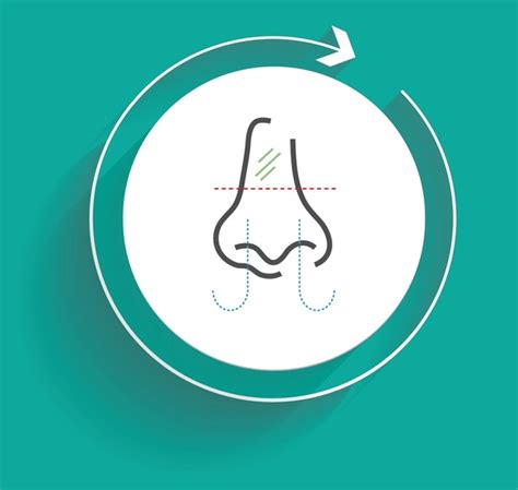 Congested Nasal Passages 20개가 넘는 로열티 프리 라이선스 대상 스톡 벡터 및 벡터 아트