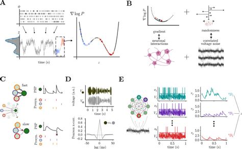 Combining Sampling Methods With Attractor Dynamics In Spiking Models Of Head Direction Systems Pmc