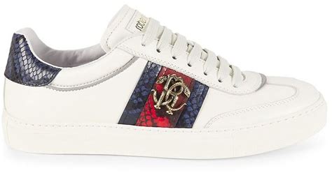 Roberto Cavalli Python Embossed Leather Wingtip Sneakers In White For