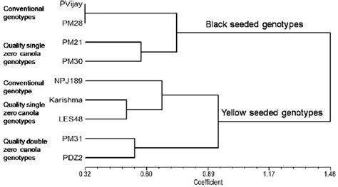 Dendrogram Based On Manhattan Distance In 9 Mustard Genotypes