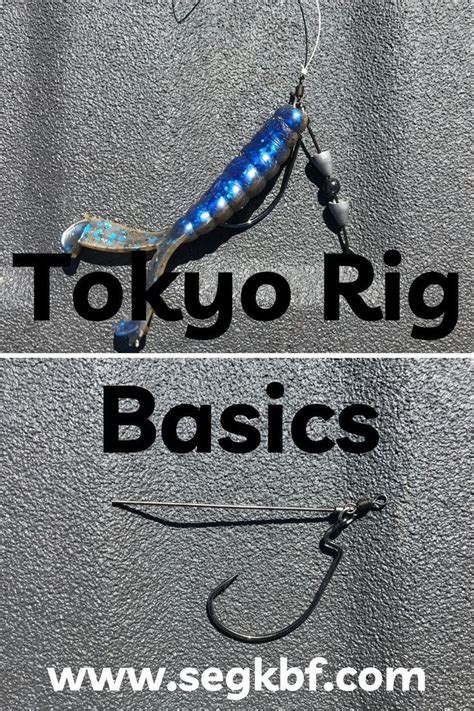 Tokyo Rig Basics Kayak Bass Fishing Bass Fishing Tips Kayak Bass