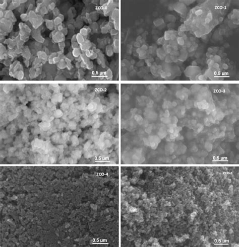 Sem Of Co Doped Zno Nps Zco 1 Zco 2 Zco 3 Zco 4 Zco 5