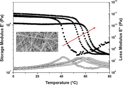 用于组织工程的基于聚乳酸 Pla 的电纺支架的热和动态力学行为 Journal Of Applied Polymer Science X Mol