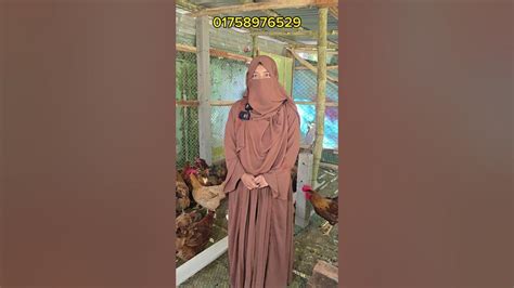 তামান্না আপার লাভজনক টাইগার মুরগির খামার Youtube